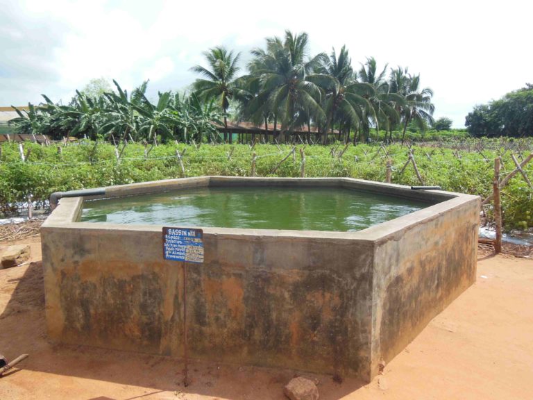 Pack 1 bassin (stockage, irrigation et pisciculture) - Semenka